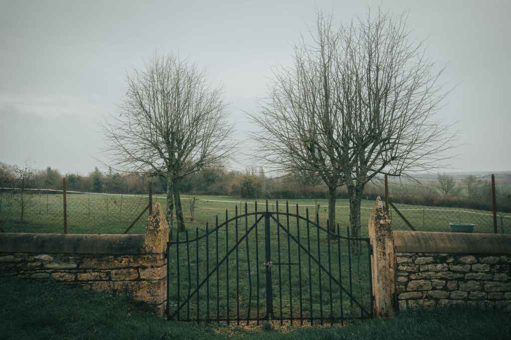 CREAKING GATE - George Camile-Perkins